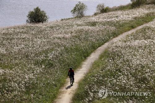 영산강·황룡강변 Y 프로젝트 시동…광주시 용역 발주 연합뉴스