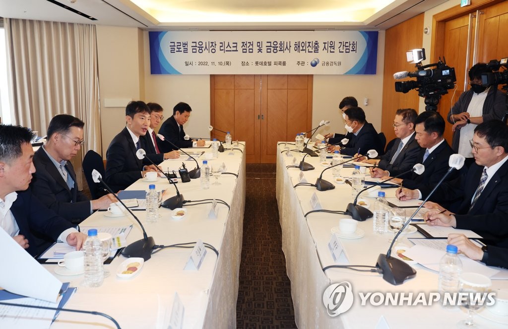 글로벌 금융시장 리스크 점검 및 금융회사 해외진출 지원 간담회 연합뉴스