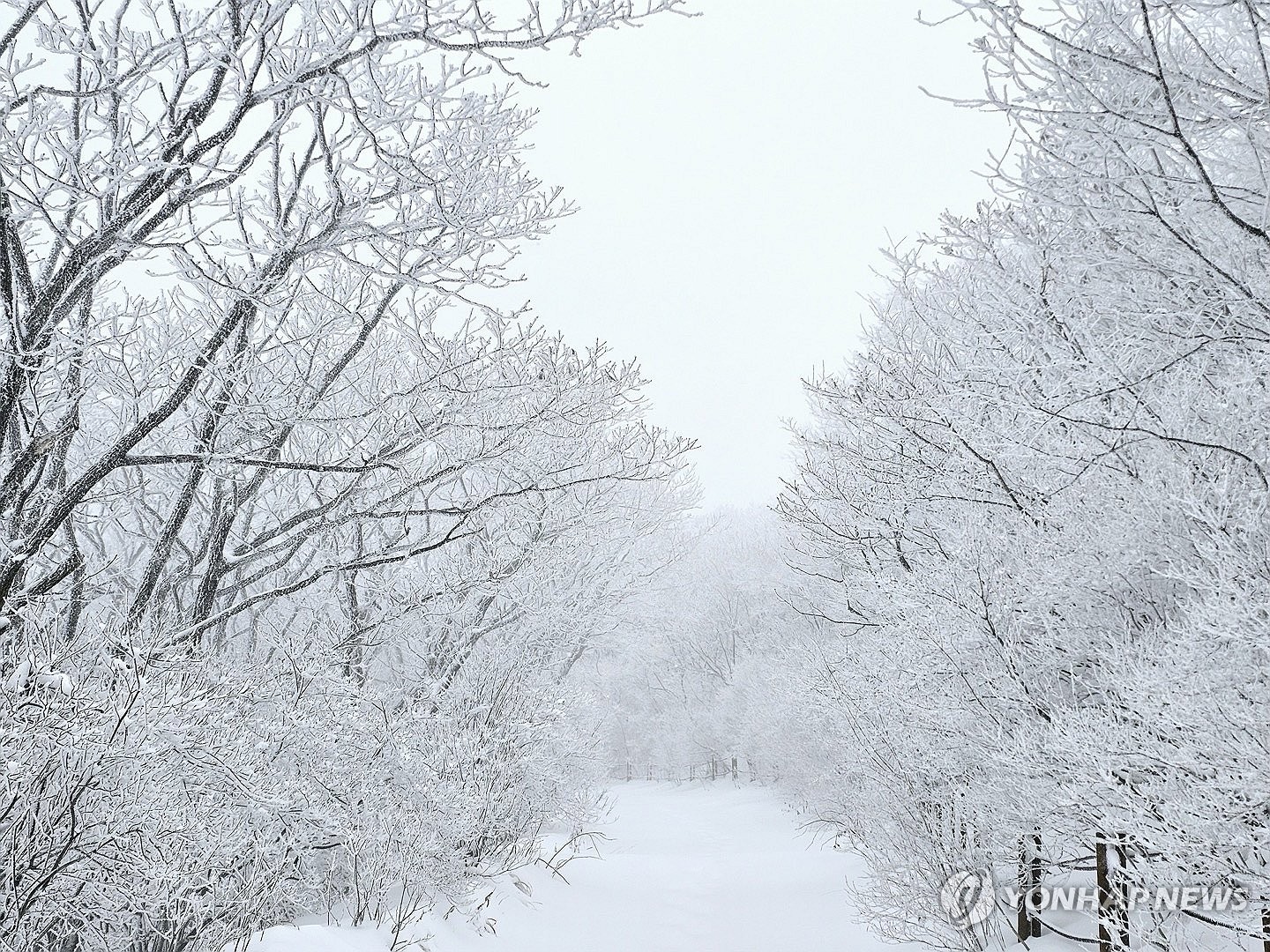 지리산 노고단 설경 | 연합뉴스